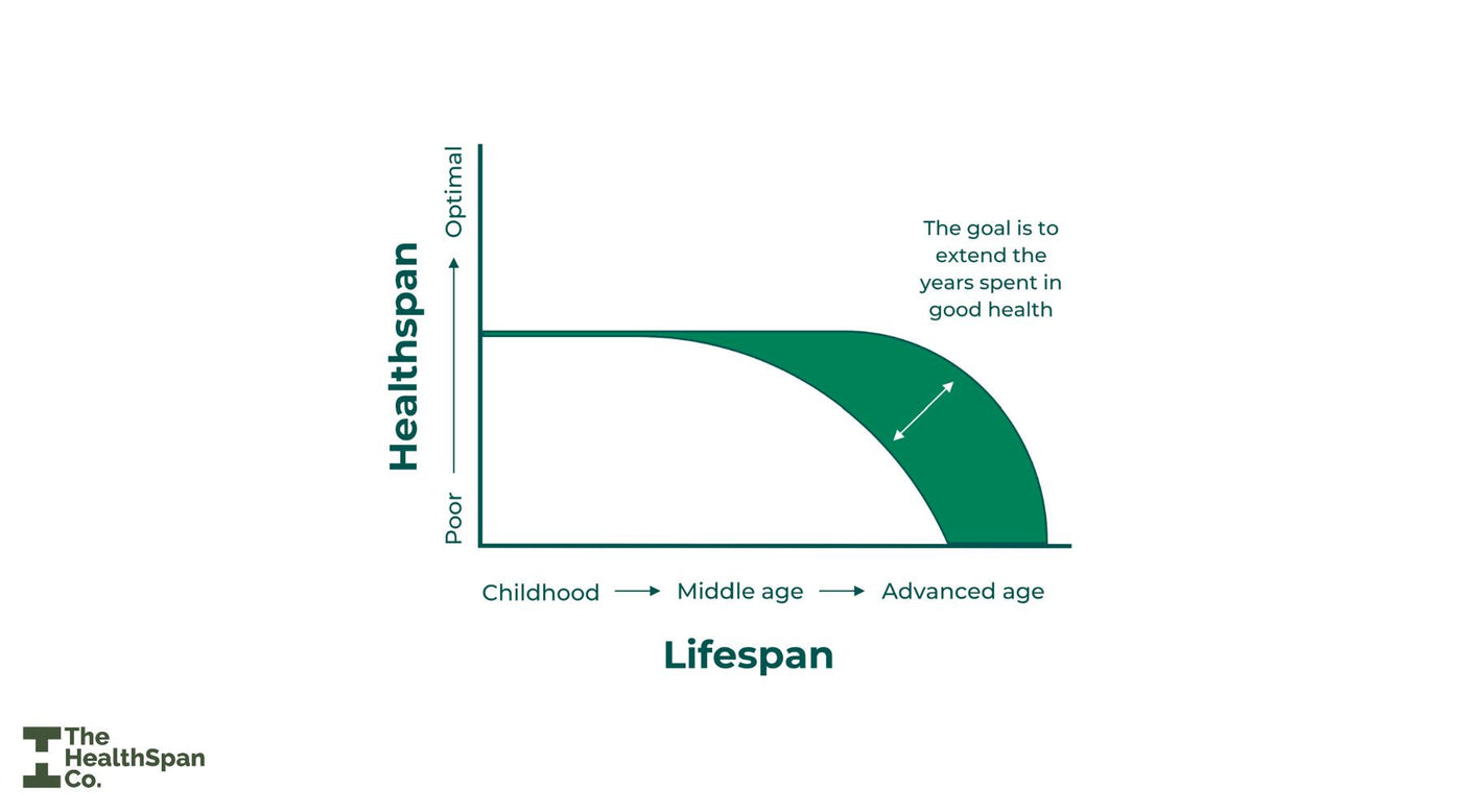 The Science of Healthspan: Living Longer & Better Life