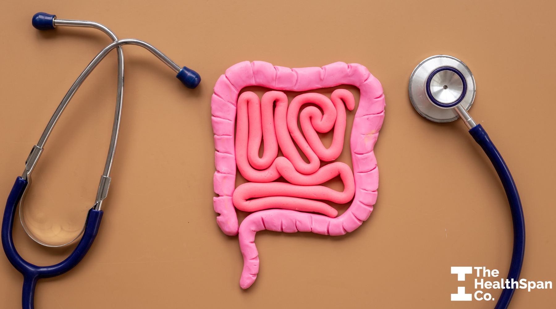 Healing and Sealing Your Gut Lining: 8 Science-Backed Steps to Restore